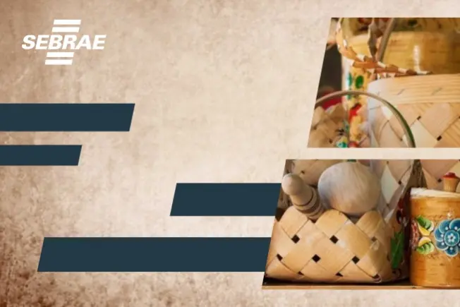 Sebrae/RO | Loja Virtual - Palestra: Artesanato como profissão e renda# ...